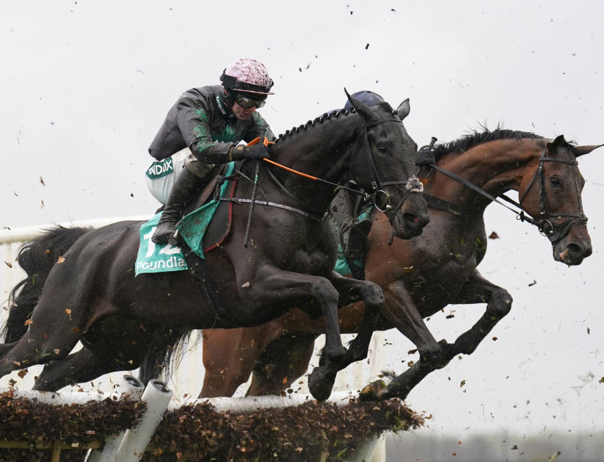 Basher Watts syndicate hoping Shes Perfect is just that in Paris | At ...