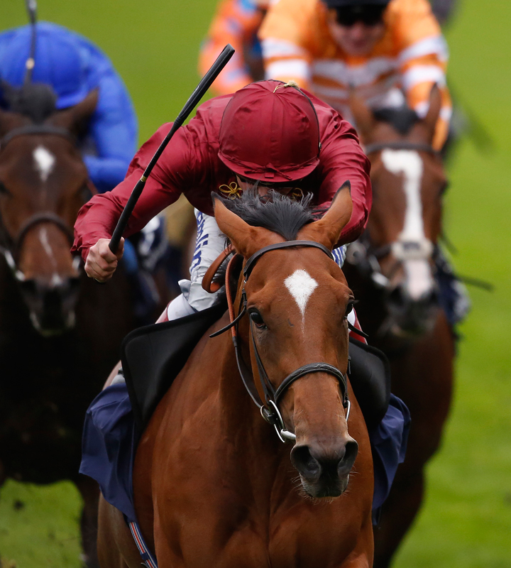 At The Races | British Champions Day Timeline